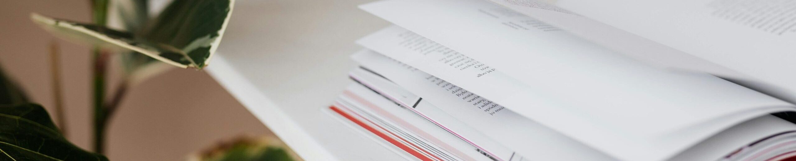 blog - Life Create LABO